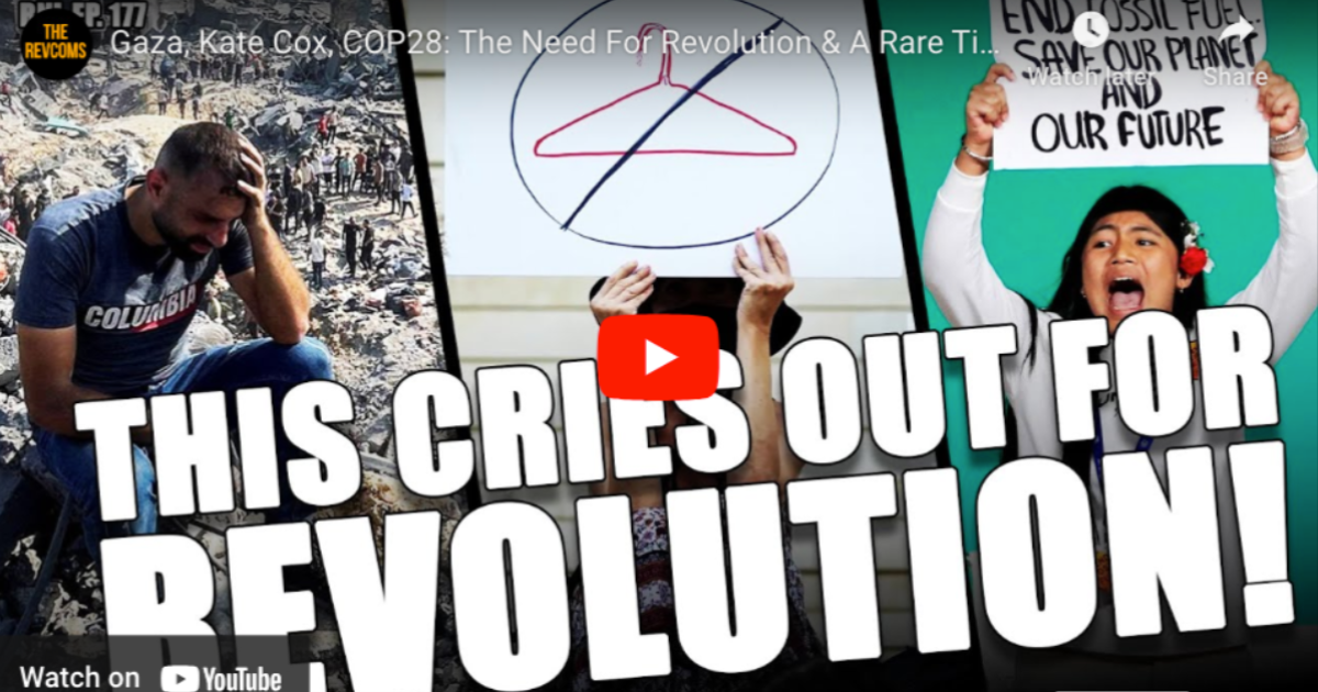Gaza, Kate Cox, Cop28: The Need For Revolution & A Rare Time When Revolution Is More Possible ...