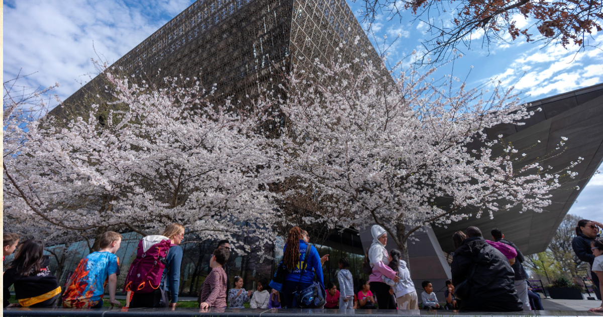 The Whitewashing of the American Brain Behind Trump’s Fascist War on ...